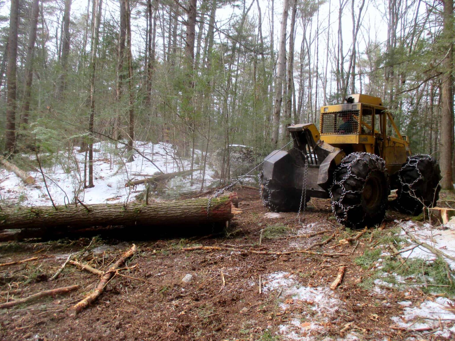 All About the Different Types of Logging and Timber Harvests - The ...