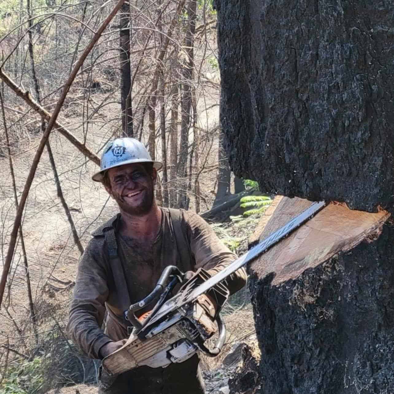 How to Become a Logger: Tips From the Pros