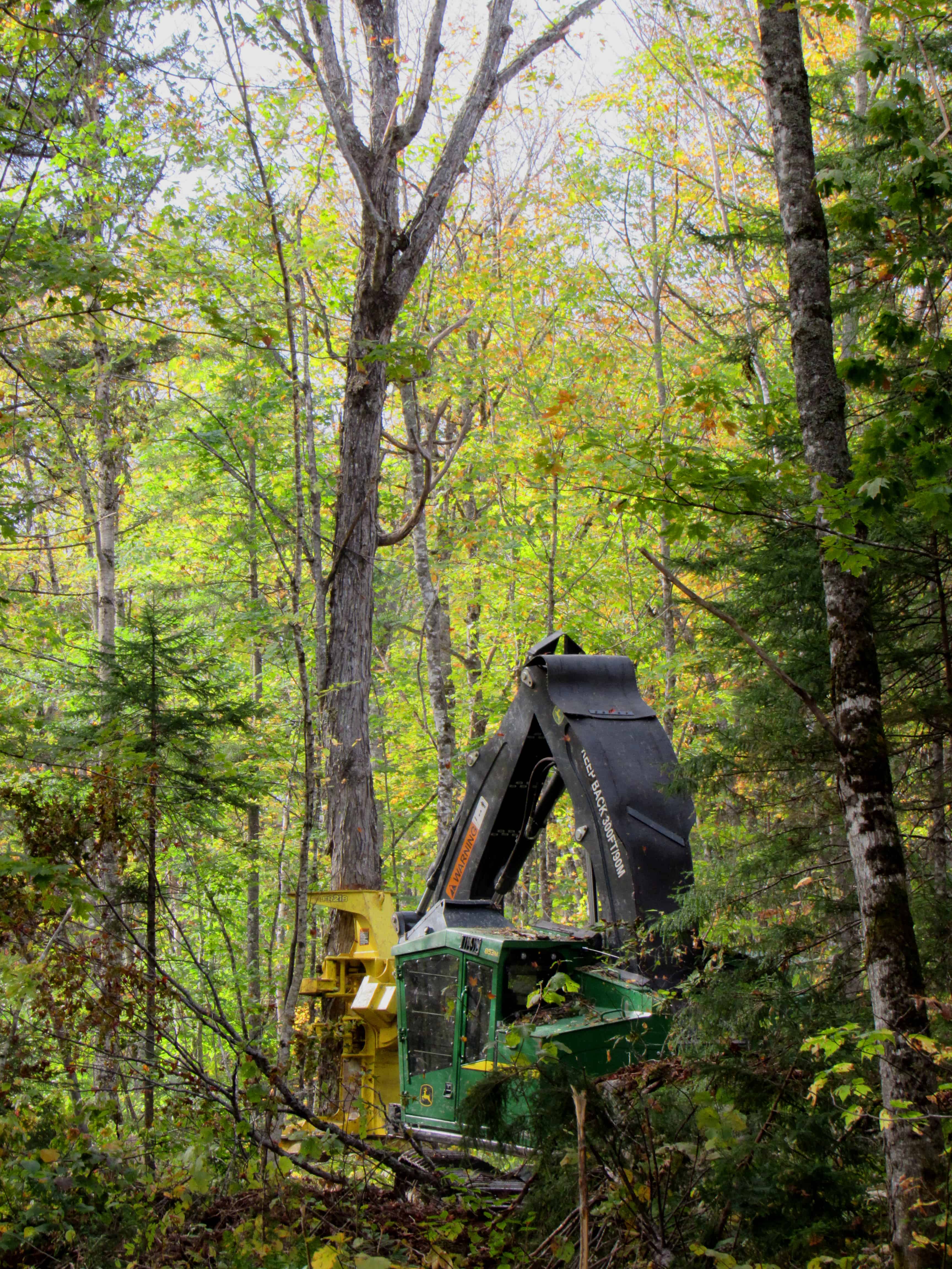 The Incredible Types of Logging Equipment Used in Forestry