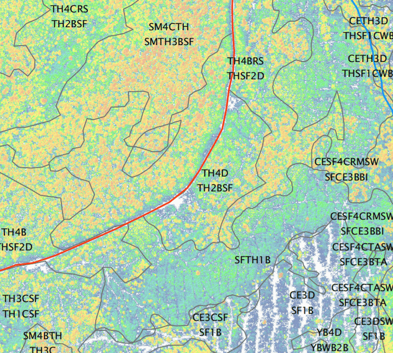 What Is a Forest Stand? - The Timberland Investor