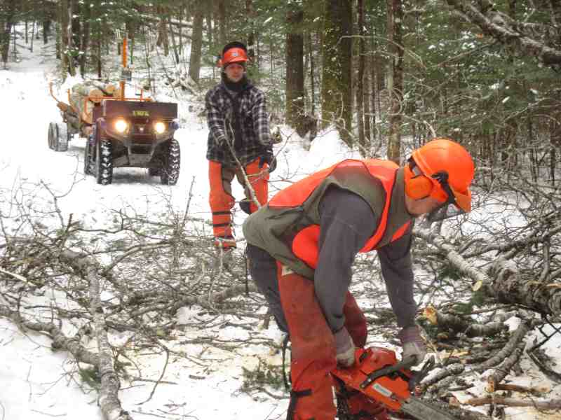 Small Scale Logging Equipment & Operations