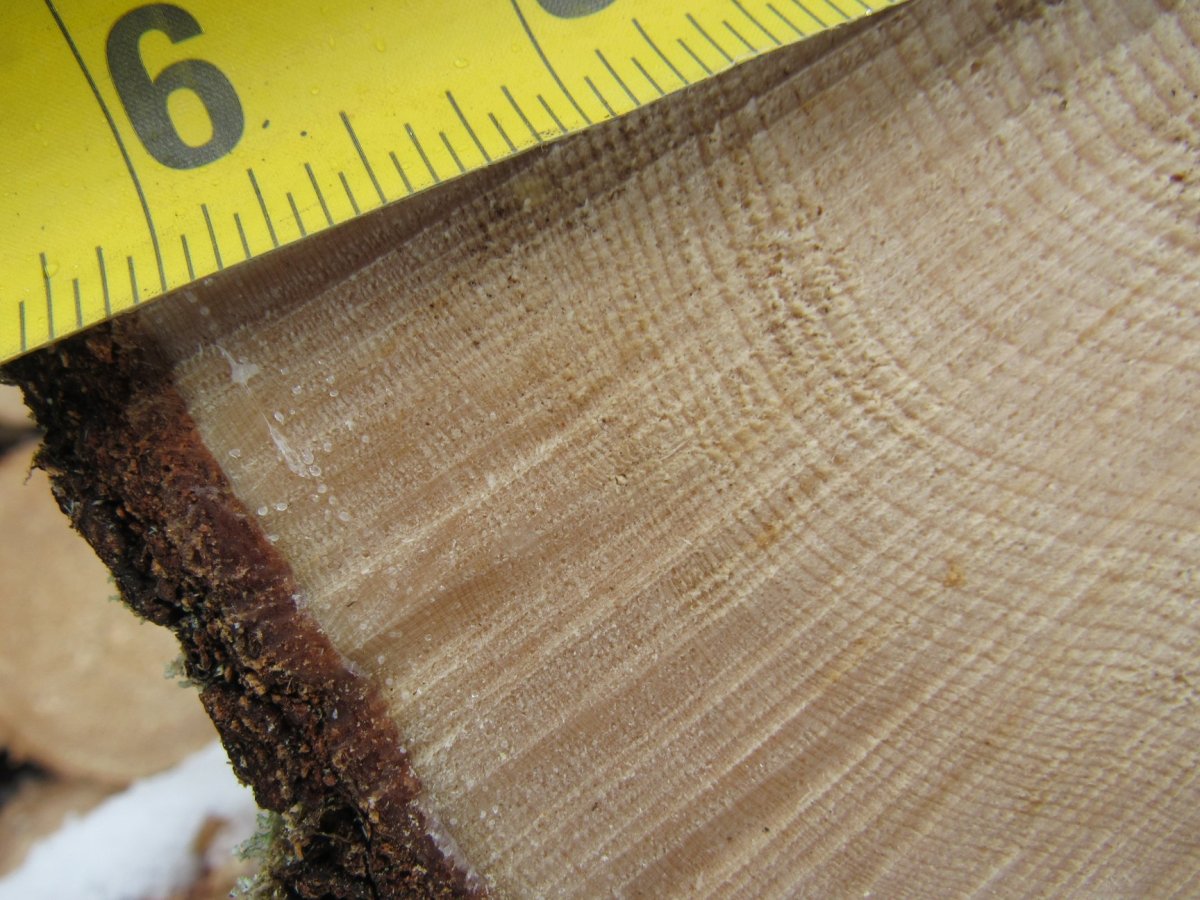 How to Sell Logs to a Sawmill