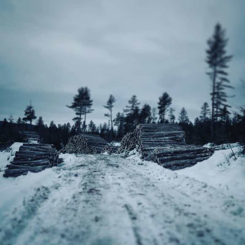 Do Loggers Work in the Winter?