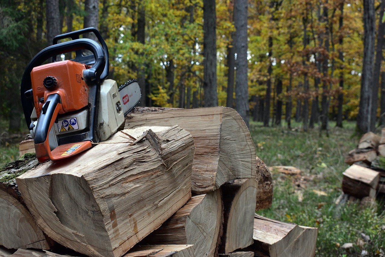 Should You Drop Start a Chainsaw? - The Timberland Investor