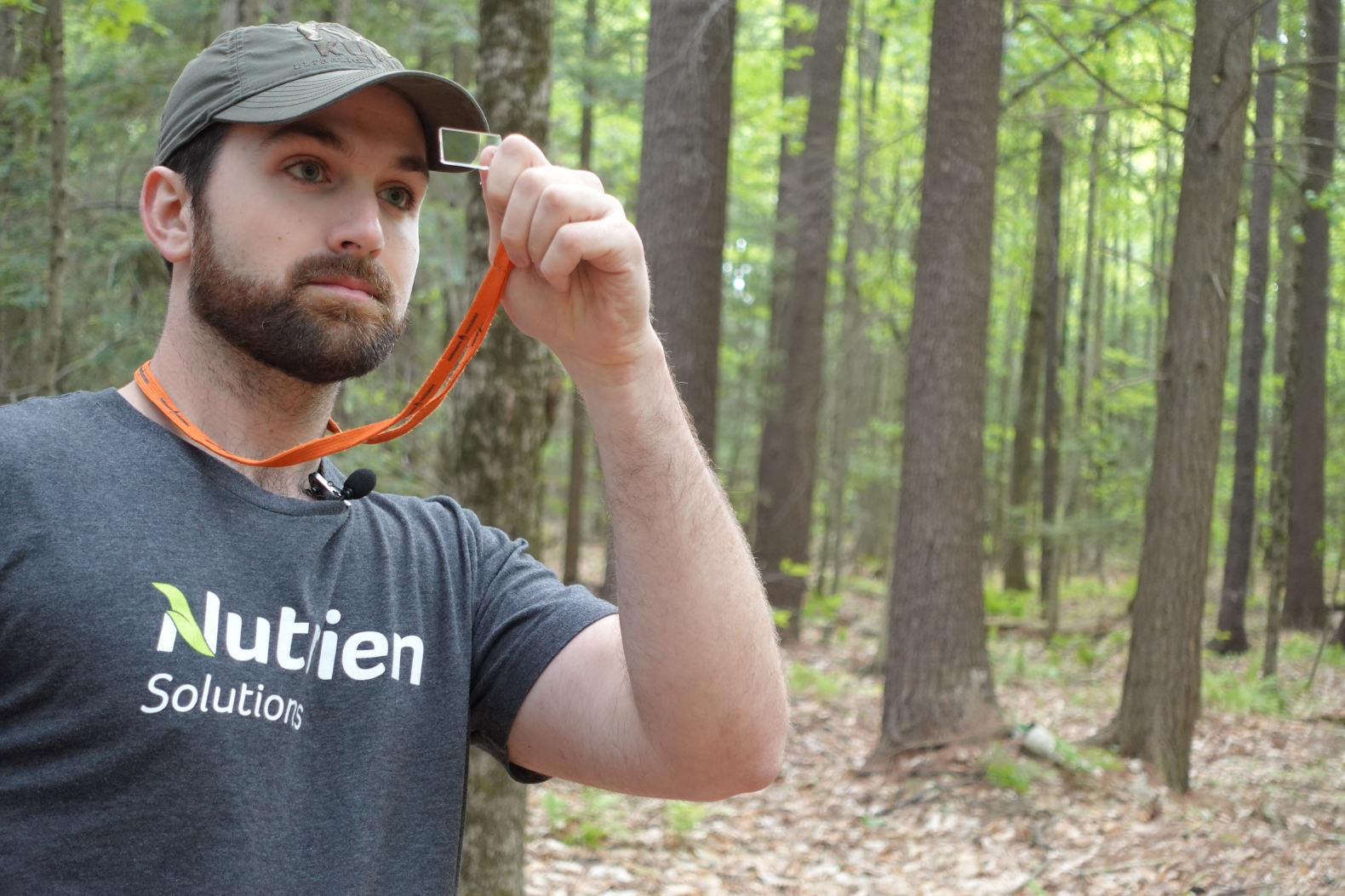 How to Measure Basal Area Per Acre