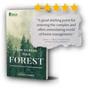 What Is Pulpwood and What Is It Used For?