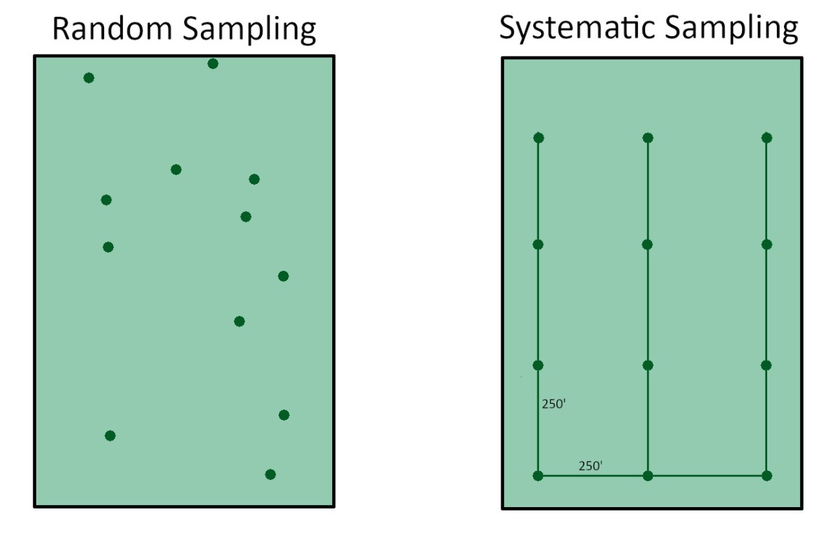 How to Measure Basal Area Per Acre