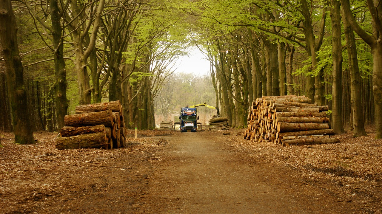 How to Sell Logs to a Sawmill - The Timberland Investor