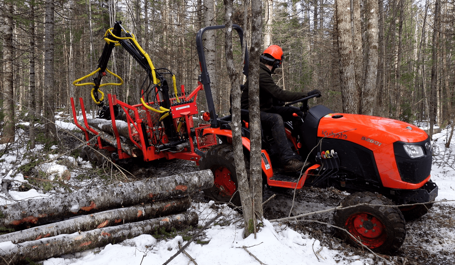 Starting a Small Scale Logging Business: Can It Work?