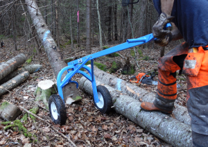 How to Fell a Hung-Up Tree (Four Methods)