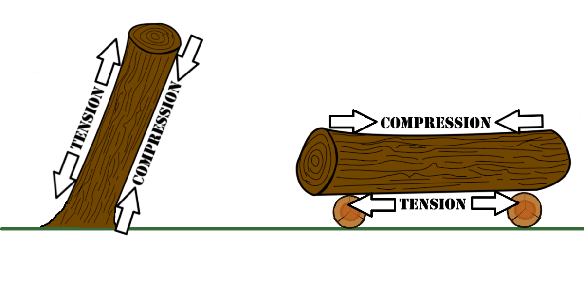 How to Prevent a Chainsaw From Getting Pinched