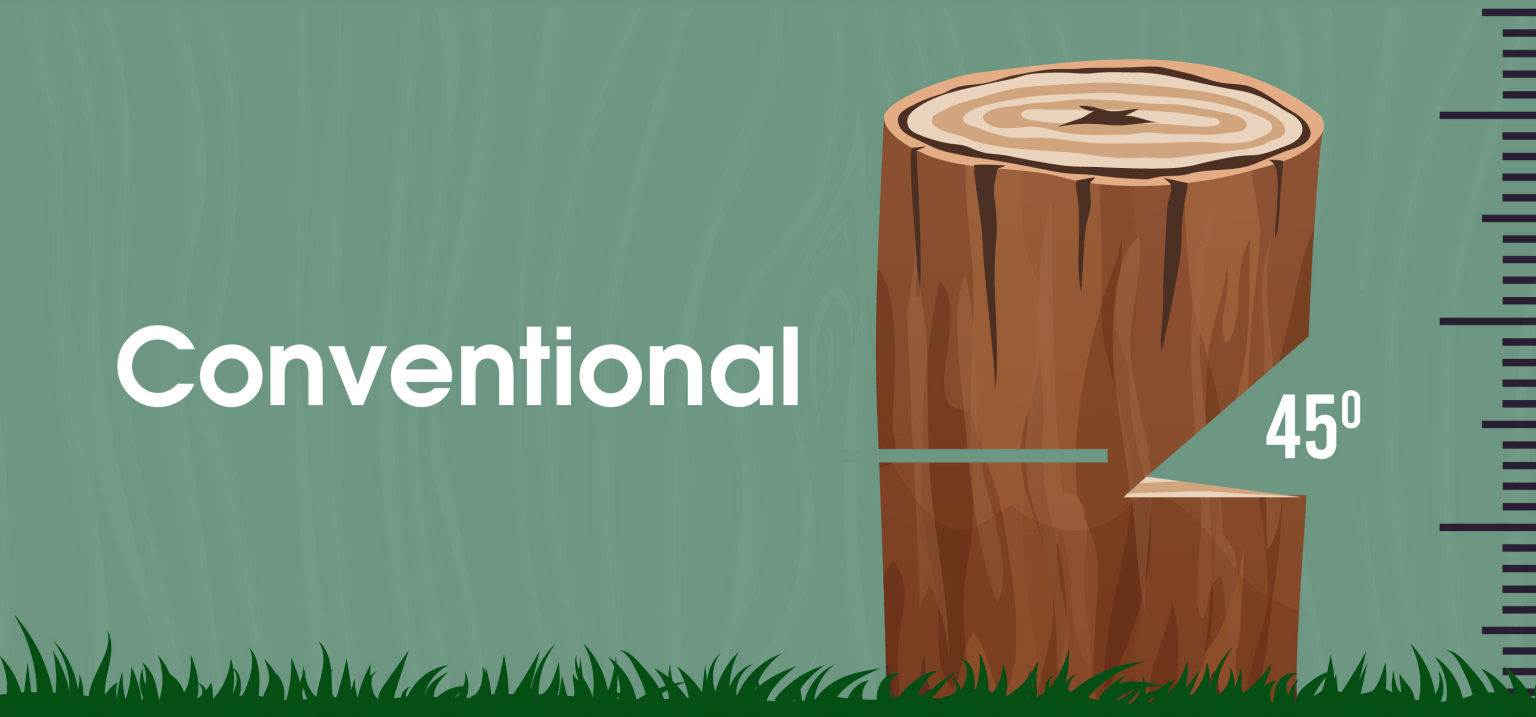 The Different Types of Notches Used in Tree Felling