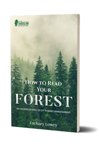 How to Read Your Forest: An Intro to DIY Forest Management
