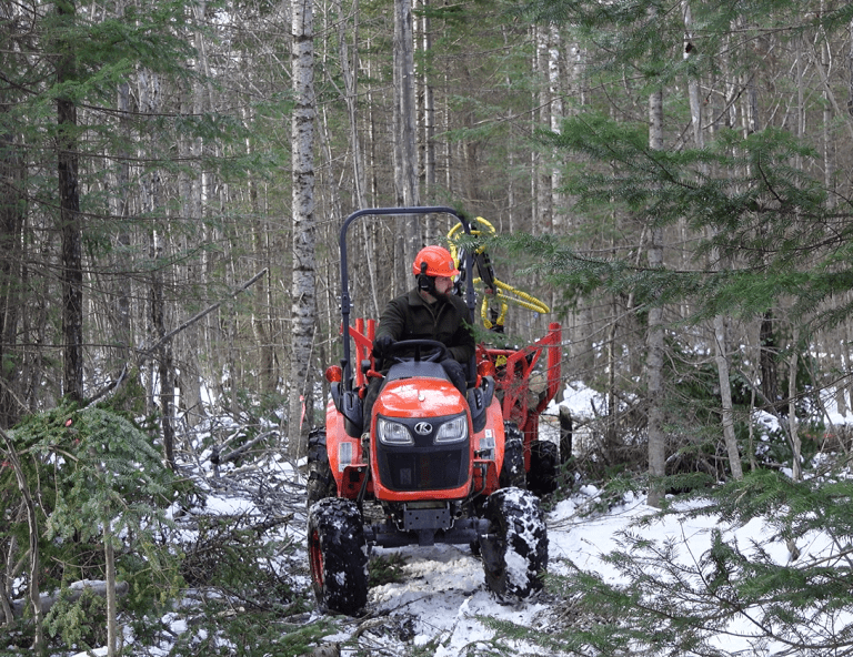 Starting a Small Scale Logging Business: Can It Work?