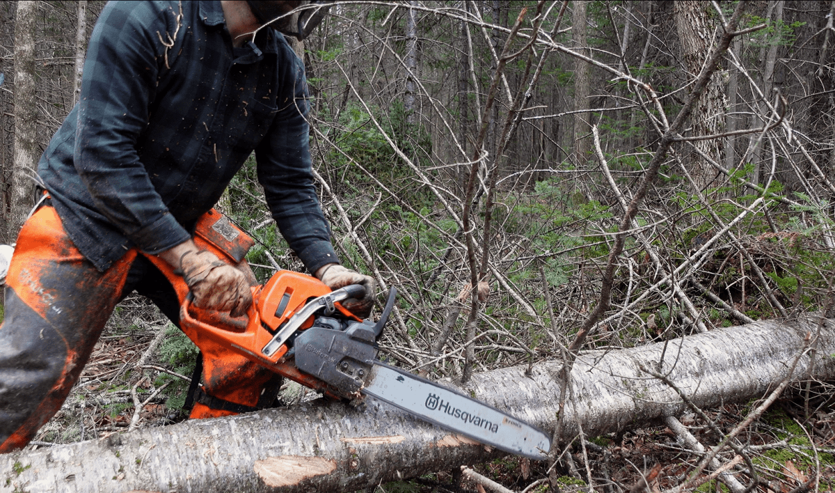 Felling Levers: The Underrated Forestry Tool You Need
