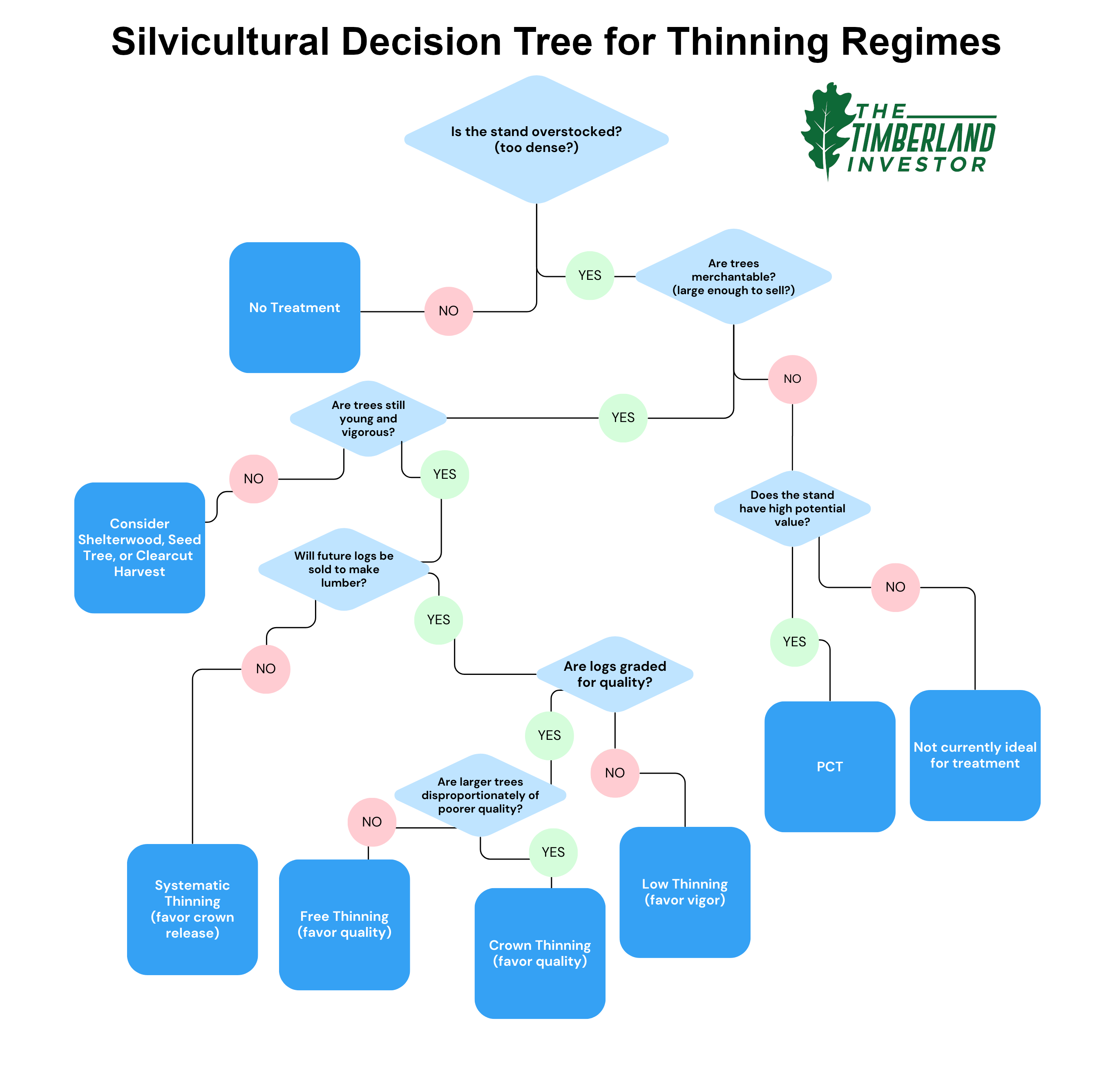 The Ultimate Guide to Thinning Your Forest