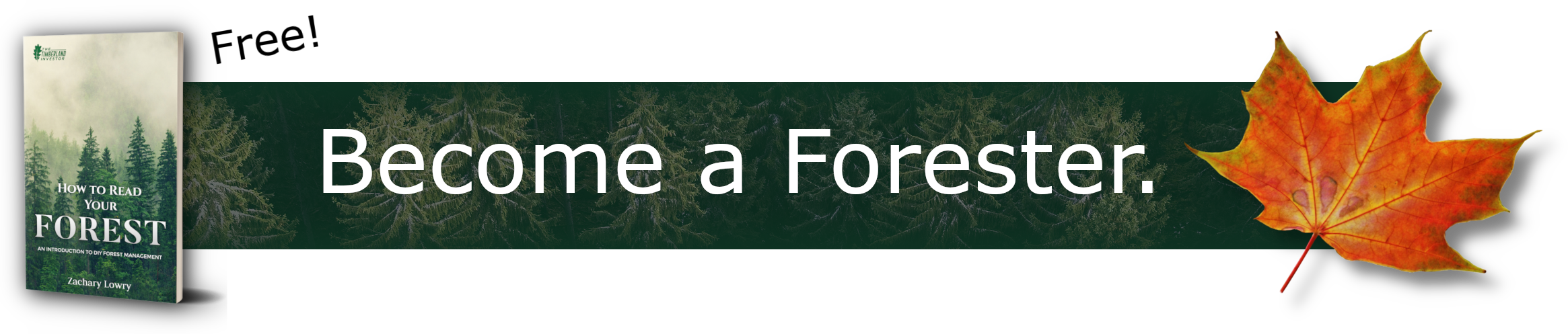 Starting a Small Scale Logging Business: Can It Work?