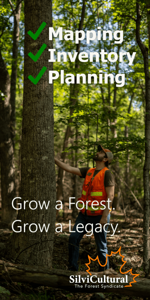 Small Scale Logging Equipment & Operations