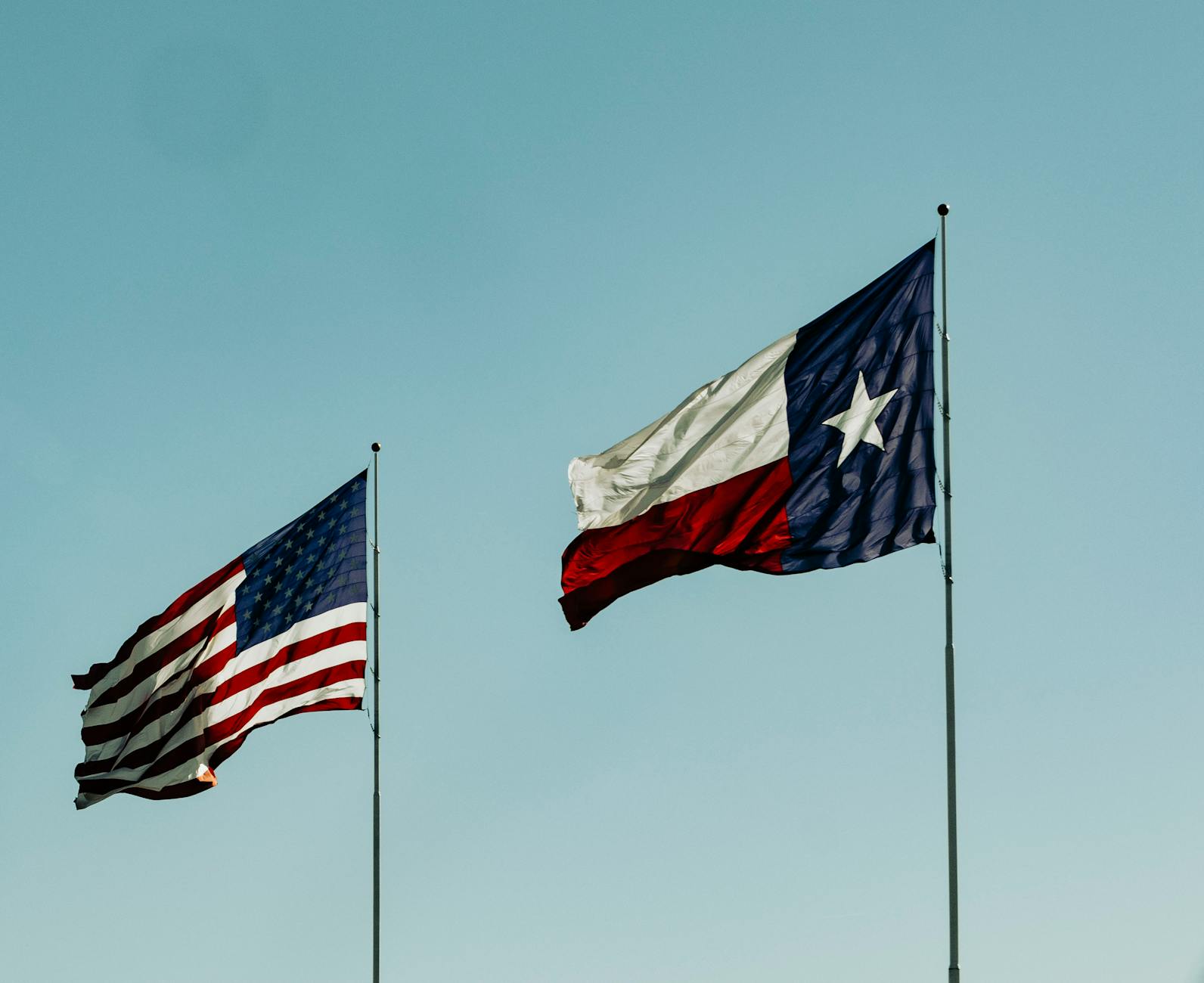 Texas Timber Prices Q4 2025 - The Timberland Investor